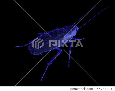 Cockroach x-ray vision, wire frame of 3d model - Stock Illustration ...