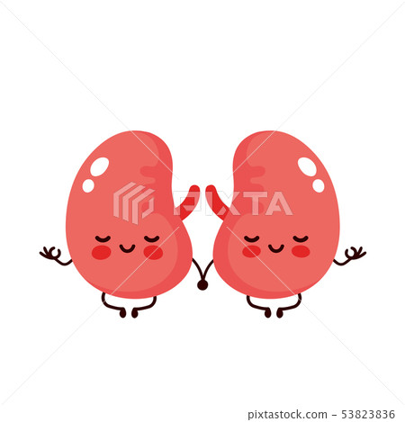 Strong cute healthy happy kidneys - Stock Illustration [53823836] - PIXTA