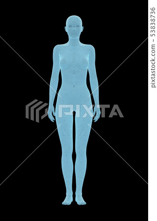 Female body, body, artificial intelligence, AI - Stock Illustration ...