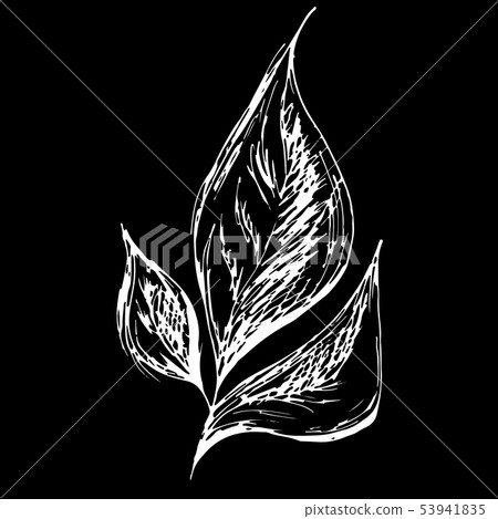 Abstract bay leaf outline icon isolated on black - Stock Illustration ...