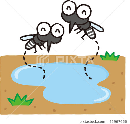 Mosquitoes that gather in a puddle - Stock Illustration [53967666] - PIXTA