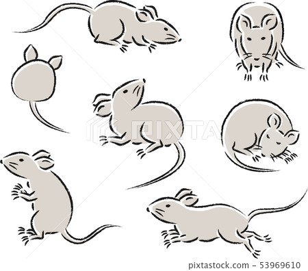 Mouse Various actions and poses - Stock Illustration [53969610] - PIXTA