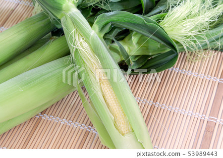 Young corn with skin, baby corn - Stock Photo [53989443] - PIXTA