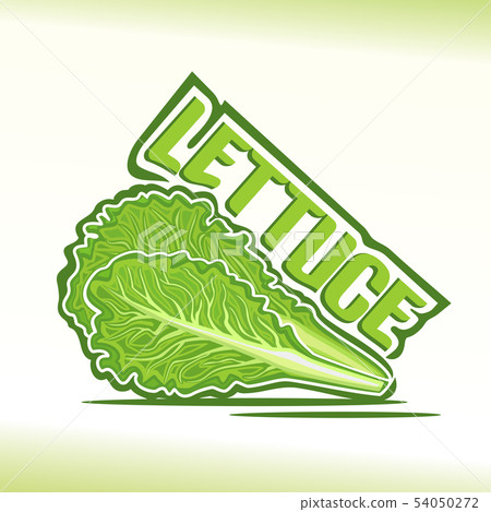 Vector logo for lettuce - Stock Illustration [54050272] - PIXTA