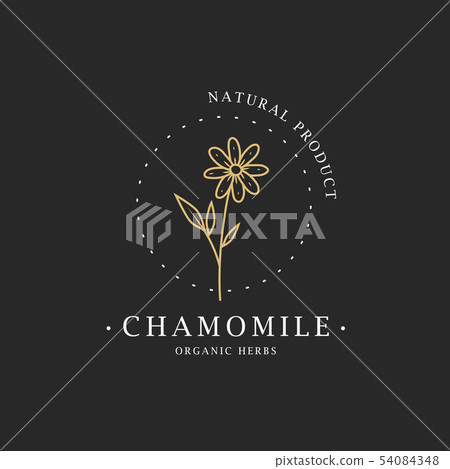 Chamomile flower. Logo for spa and beauty... - Stock Illustration ...