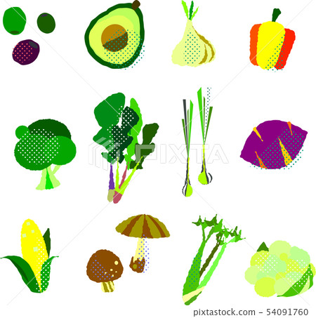Stylish Vegetable Illustration Set 2 - Stock Illustration [54091760] - PIXTA