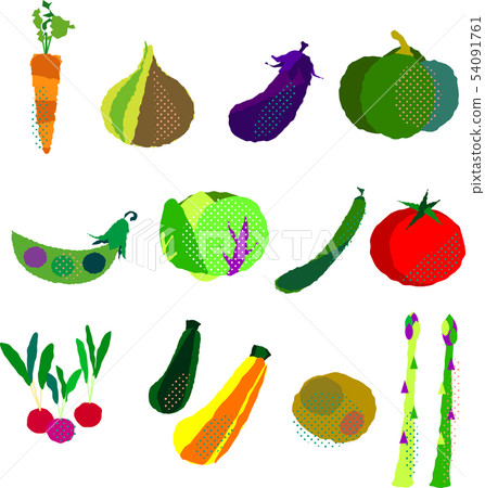 Stylish vegetables illustration set - Stock Illustration [54091761] - PIXTA