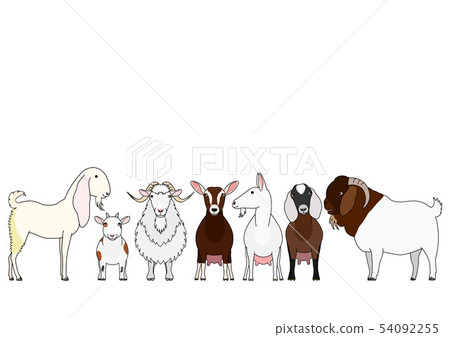 Goat border group - Stock Illustration [54092255] - PIXTA