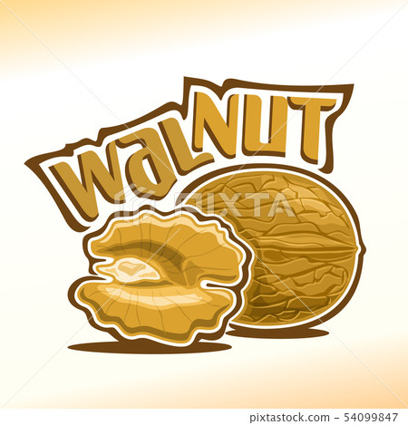 Vector logo for walnut - Stock Illustration [54099847] - PIXTA