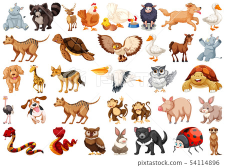 Set of animal character - Stock Illustration [54114896] - PIXTA