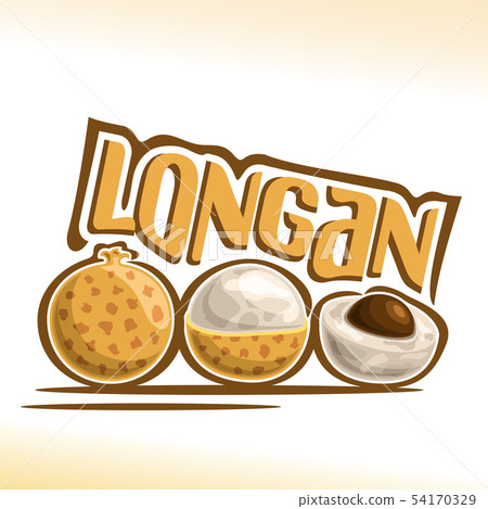 Vector logo for Longan Fruit - Stock Illustration [54170329] - PIXTA