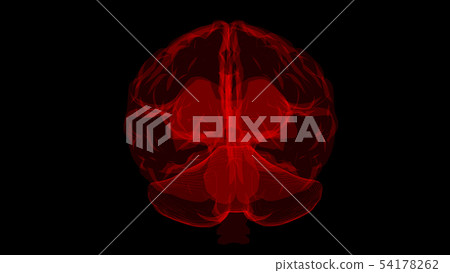 Computer model of human brain and AI-插圖素材 [54178262] - PIXTA圖庫