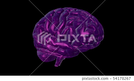 Computer model of human brain and AI-插圖素材 [54178267] - PIXTA圖庫