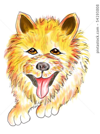 Yellow dog portrait digital art - Stock Illustration [54193808] - PIXTA