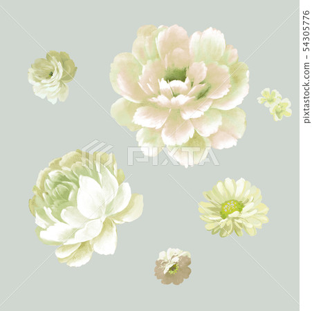 Seishin flower arrangement, flower arrangement,... - Stock Illustration ...