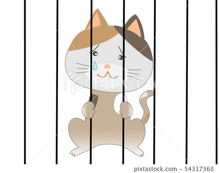 A cat confined in the coffin. - Stock Illustration [54317368] - PIXTA