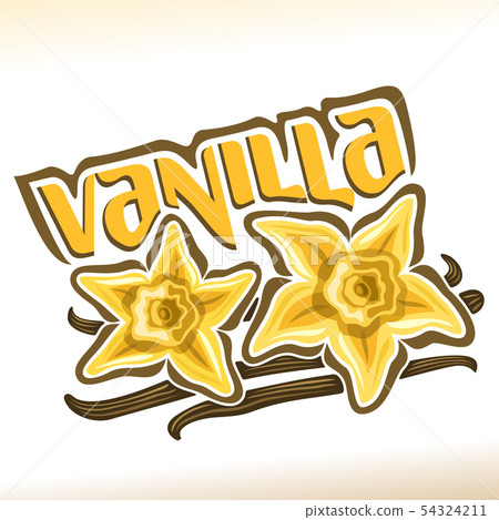 Vector logo for Vanilla - Stock Illustration [54324211] - PIXTA