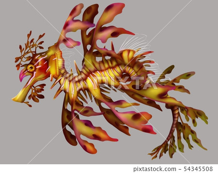 Leafy Sea Dragon Clipart Public