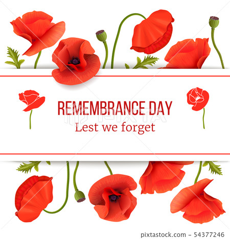 Poppy red flowers card template with copy space on - Stock Illustration ...