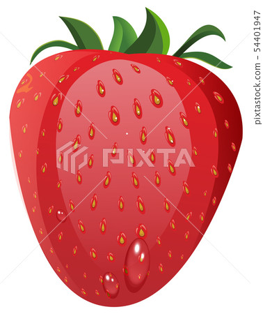 Strawberry close-up vector isolated on white. Red - Stock Illustration ...