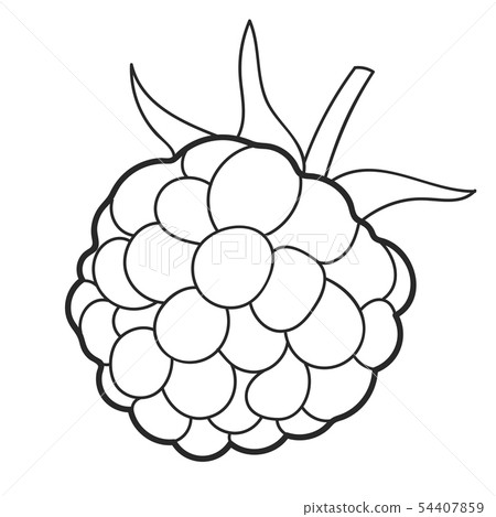 Raspberry Sketch Vector Ready For Your Design, - Stock Illustration ...