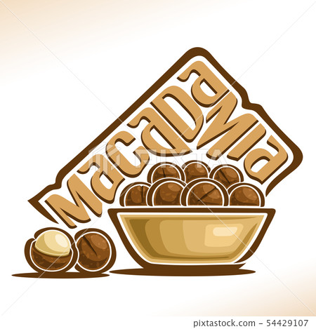 Vector logo for Macadamia - Stock Illustration [54429107] - PIXTA