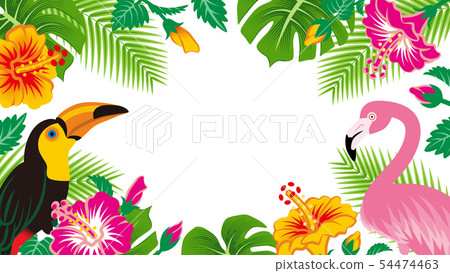 Tropical birds and plants frame-with copy space... - Stock Illustration ...