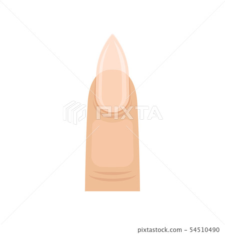 Long sharp nail. Vector illustration on white... - Stock Illustration ...