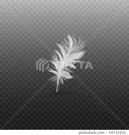 Single fluffy white feather falling or hovering... - Stock Illustration ...
