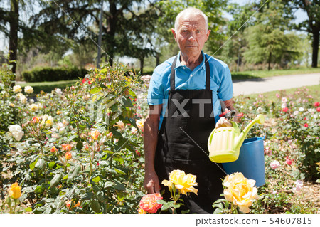 Man with bucket at flower bed - Stock Photo [54607815] - PIXTA