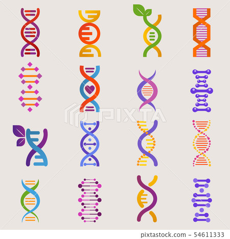 DNA genetic sign with genome or gene in biology... - Stock Illustration ...