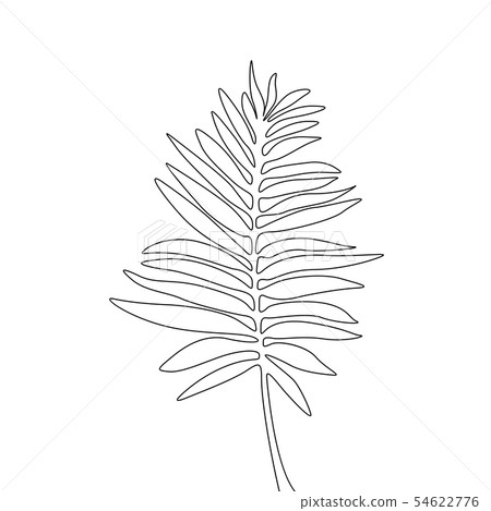 One line drawing areca palm leaf. Continuous... - Stock Illustration ...