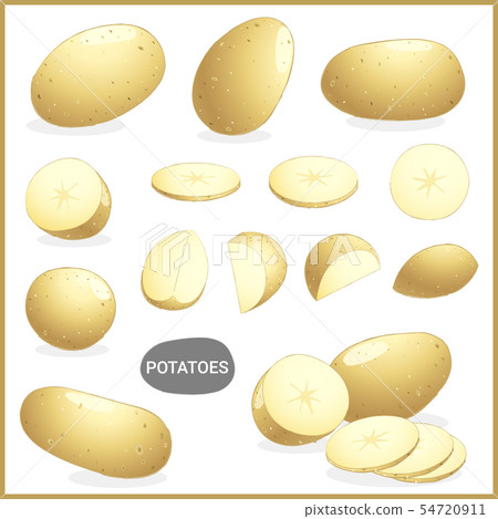 Set of fresh potatoes vegetable vector format - Stock Illustration ...