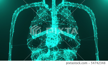 Anatomy human body model with connection dots,... - Stock Illustration ...