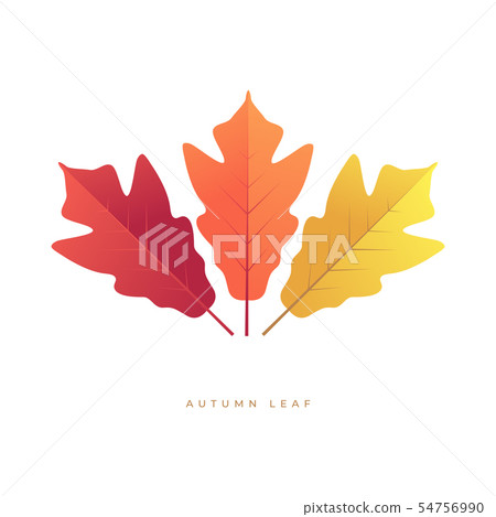Simple colorful autumn leaves symbol. - Stock Illustration [54756990 ...