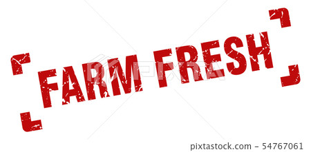 farm fresh stamp. farm fresh square grunge sign. - Stock Illustration ...