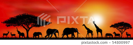 Savanna animals on a background of a sunset sun - Stock Illustration ...