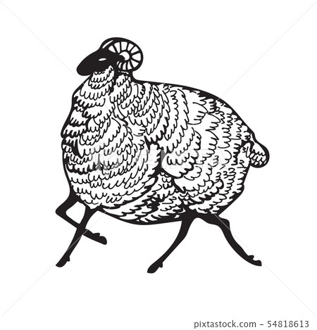 The ram is running. Doodle style illustration. - Stock Illustration ...