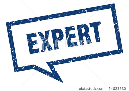 expert sign. expert square speech bubble. expert - Stock Illustration ...