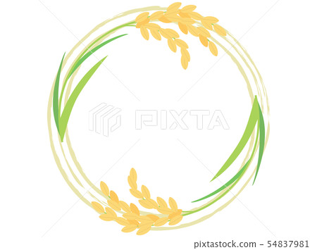 Rice 7 rice field frame - Stock Illustration [54837981] - PIXTA