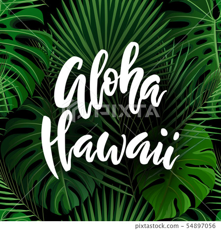 Aloha Hawaii brush lettering. - Stock Illustration [54897056] - PIXTA
