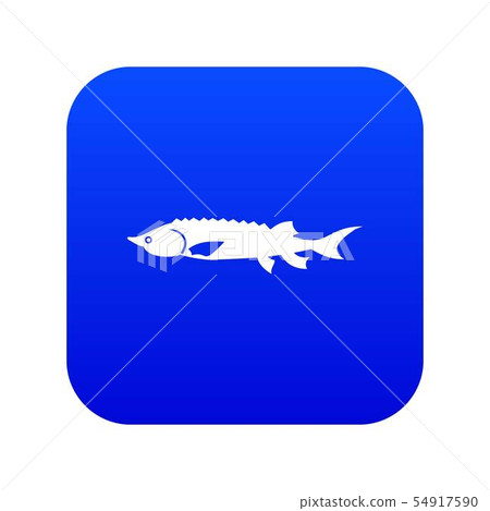 Fresh sturgeon fish icon digital blue - Stock Illustration [54917590 ...