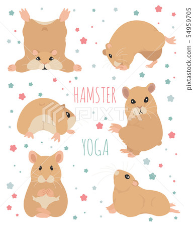 Hamsters yoga poses and exercises. Cute cartoon - Stock Illustration ...