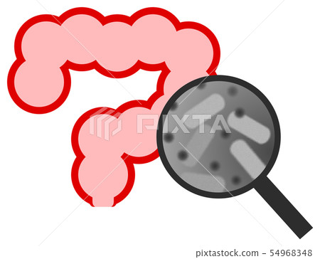 Expansion of intestinal bacteria - Stock Illustration [54968348] - PIXTA