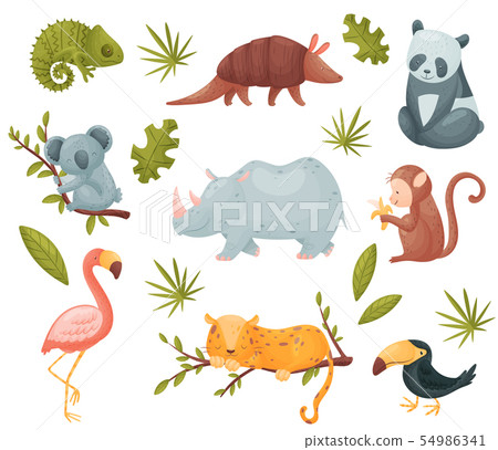 Set of exotic animals. Vector illustration on... - Stock Illustration ...