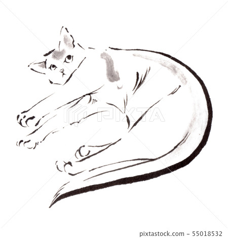 Sumie cat 05 - Stock Illustration [55018532] - PIXTA