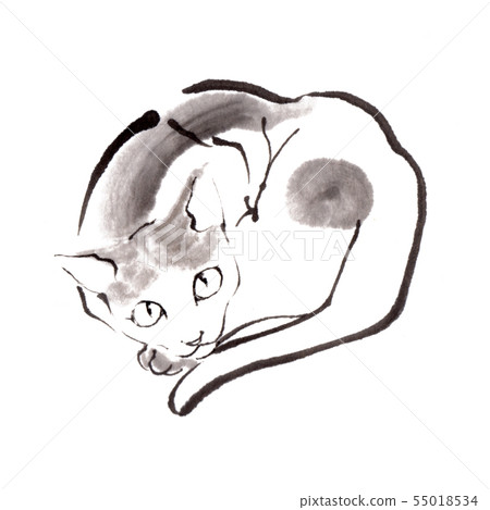 Sumie cat 03 - Stock Illustration [55018534] - PIXTA