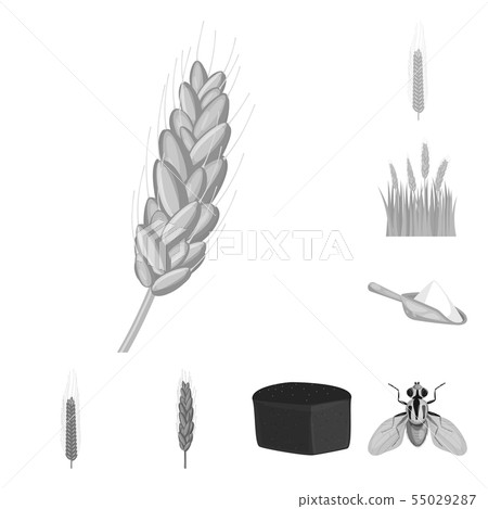Vector design of rye and plant icon. Set of rye... - Stock Illustration ...