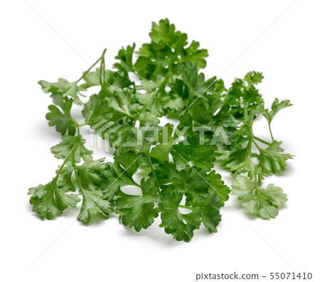 Fresh green parsley isolated on white - Stock Photo [55071410] - PIXTA