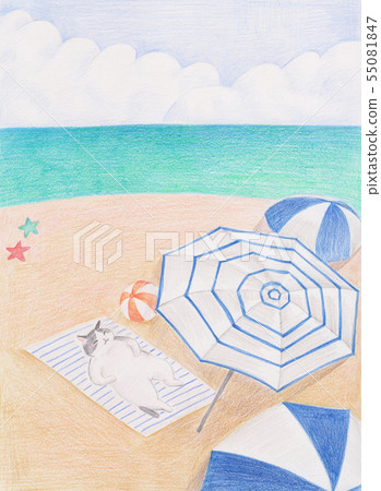 A sunbathing cat - Stock Illustration [55081847] - PIXTA